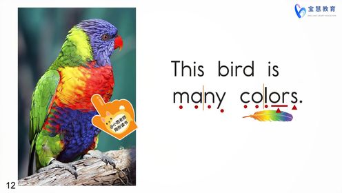 RAZ阅读-BirdColours_高清1080P在线观看平台_腾讯视频