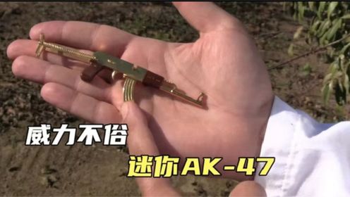 测试迷你版AK-47，虽然外表看着呆萌，然而这实力却是不容小觑#军事迷#军事爱好者#军事科普_高清1080P在线观看平台_腾讯视频