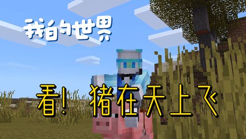 【我的世界】猪也能在天上飞？仅需鞍和胡萝卜吊杆，顺利让猪腾空#MC#我的世界_高清1080P在线观看平台_腾讯视频