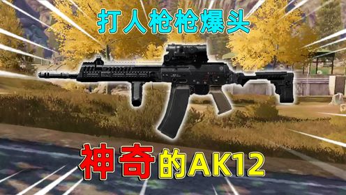 暗区突围：神奇的AK12，明明瞄的都是身体，结果全是爆头？_高清1080P在线观看平台_腾讯视频