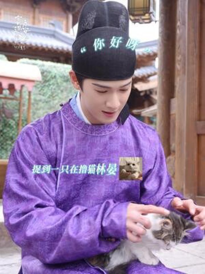 #李昀锐黑切甜好可爱！#宴遇永安#电视剧#新剧来袭_高清1080P在线观看平台_腾讯视频