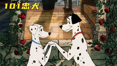 《101忠犬》：斑点狗千挑万选给主人找对象，实在令人羡慕。_高清1080P在线观看平台_腾讯视频
