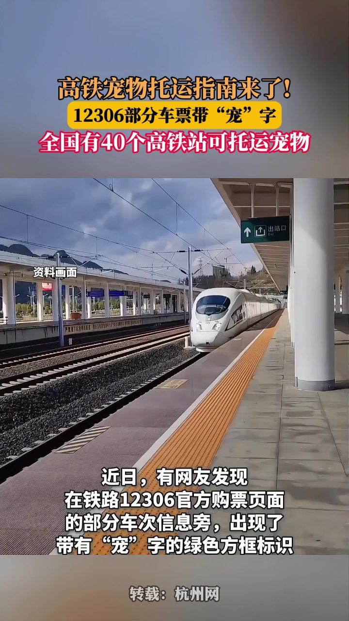 高铁宠物托运指南来了！12306部分车票带“宠”字_高清1080P在线观看平台_腾讯视频