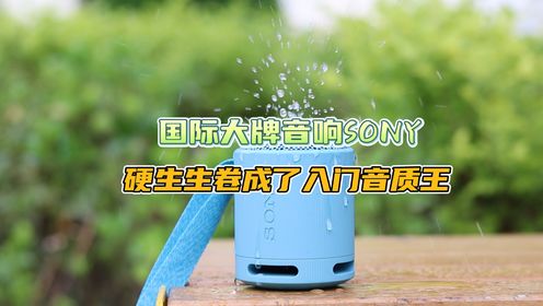 索尼XB100便携音箱，百元入门音质王？一听一个不吱声_高清1080P在线观看平台_腾讯视频