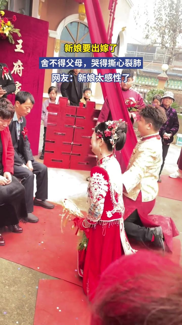 新娘要出嫁了，舍不得父母，哭得撕心裂肺_高清1080P在线观看平台_腾讯视频