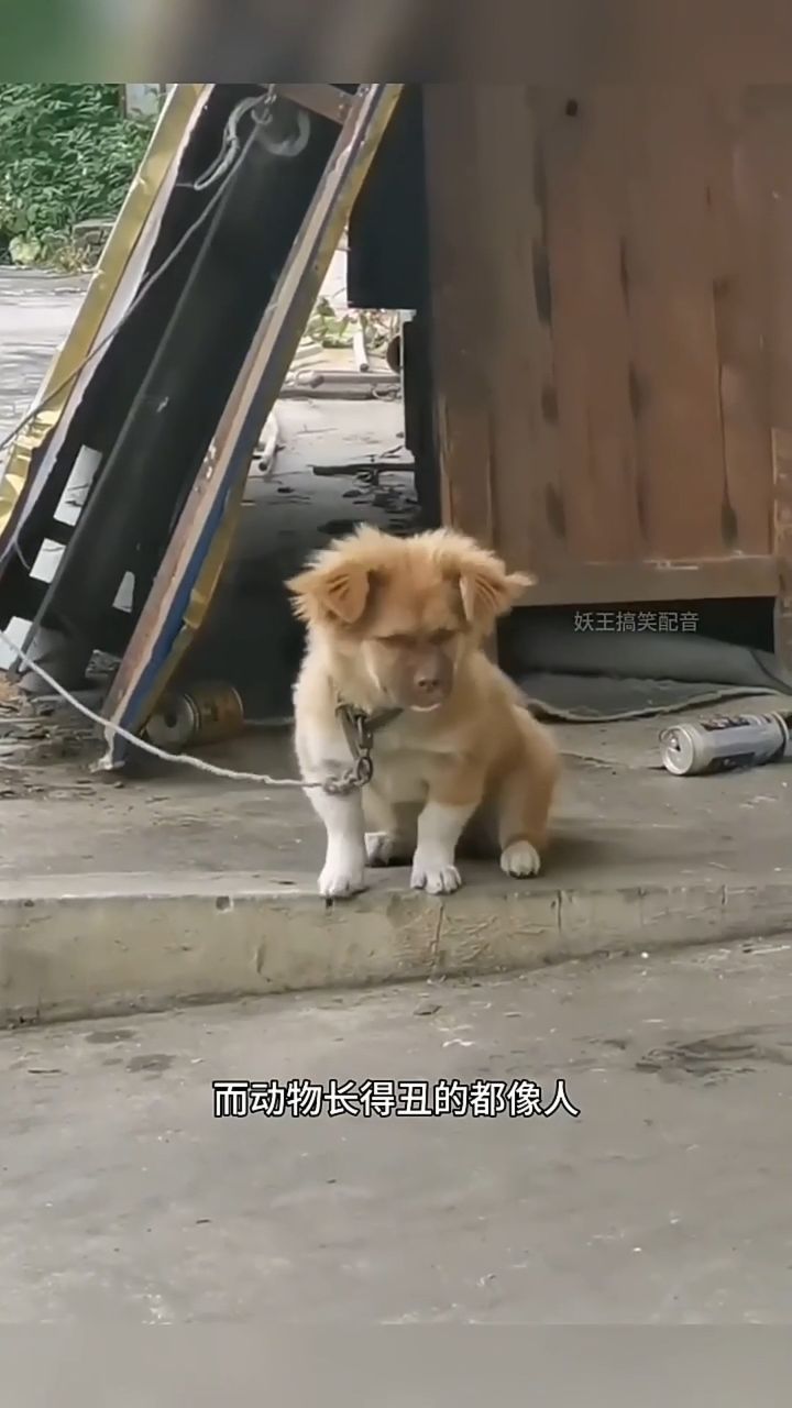 我看了半天，就感觉好像某人就想不起来谁_高清1080P在线观看平台_腾讯视频