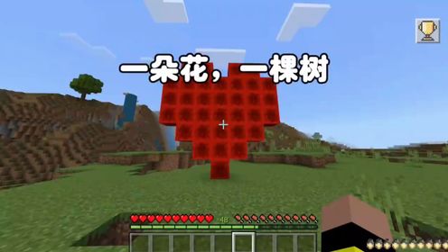 我的世界：一朵花一棵树_高清1080P在线观看平台_腾讯视频