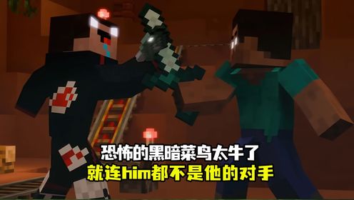 恐怖的黑暗菜鸟太牛了，就连him都不是他的对手_高清1080P在线观看平台_腾讯视频