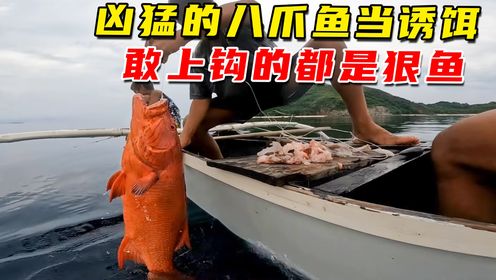 用凶猛的八爪鱼作钓，大鱼一条接一条的上，船都放不下了_高清1080P在线观看平台_腾讯视频