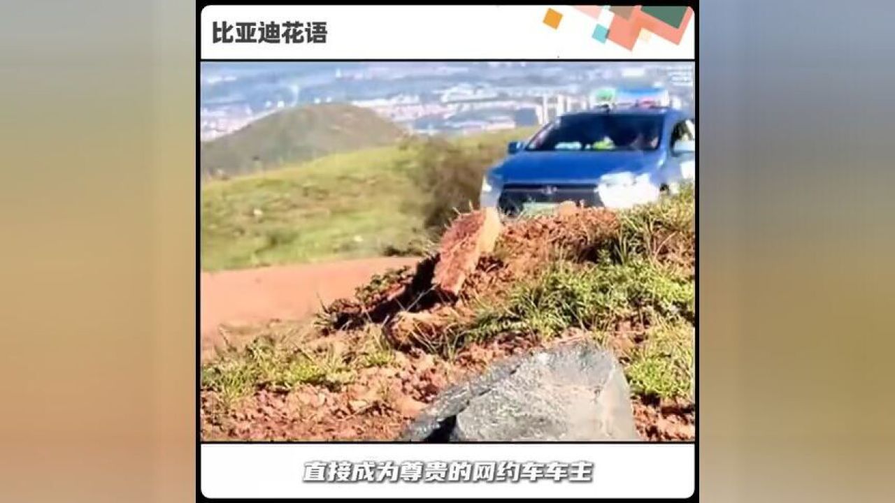 你知道比亚迪的花语是什么吗？_高清1080P在线观看平台_腾讯视频