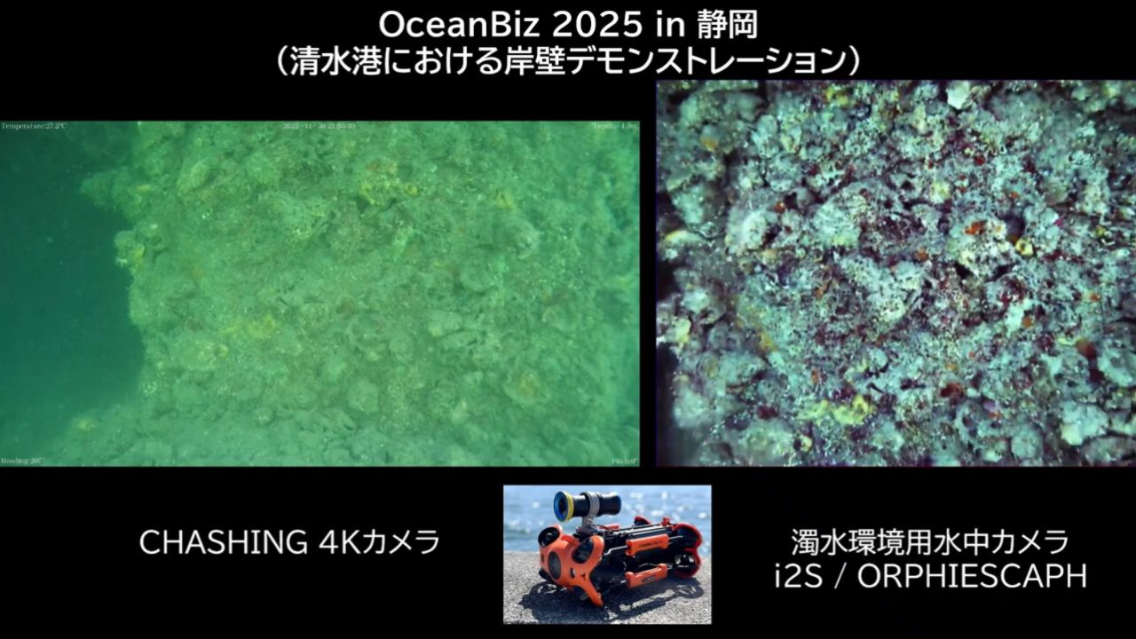 水下相机ORPHIESCAPH浑水环境下码头演示视频_高清1080P在线观看平台_腾讯视频