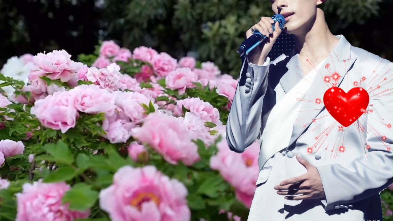 【亲爱的】姐姐，弟弟想把这些事情都告诉你_高清1080P在线观看平台_腾讯视频