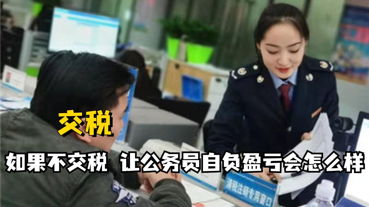 如果所有人都不交税了，让公务员自负盈亏会怎么样_高清1080P在线观看平台_腾讯视频