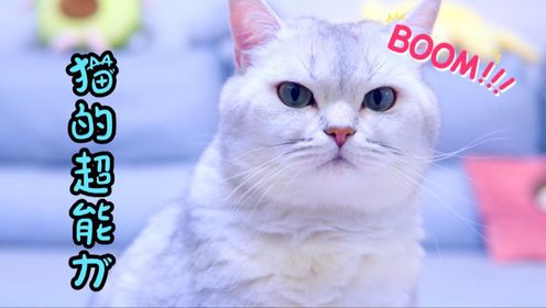 小猫咪有了超能力，主人和妹妹却不爱它了_高清1080P在线观看平台_腾讯视频