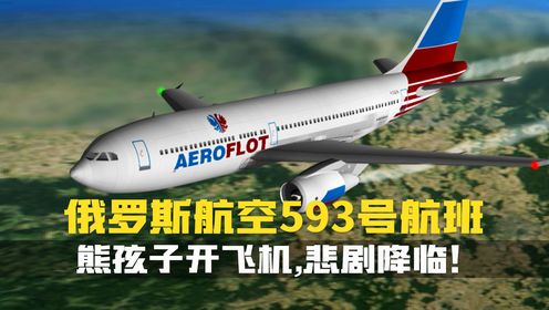 15岁小孩开客机过瘾,机上75人全部丧命！俄罗斯航空593号班机空难.空中浩劫纪录片_高清1080P在线观看平台_腾讯视频