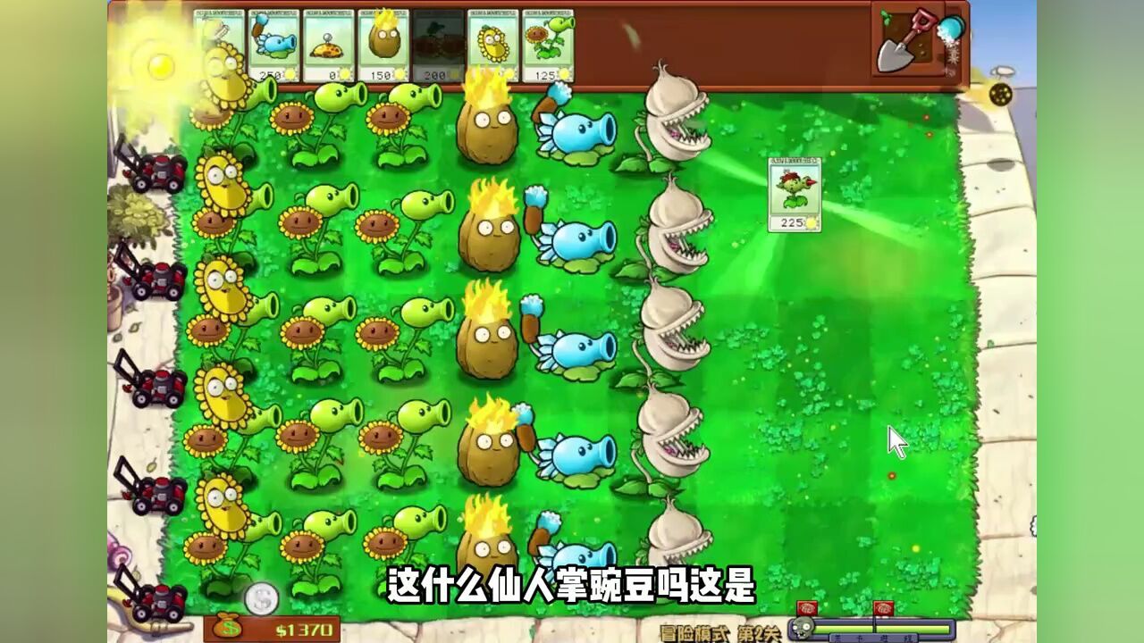 杂交植物！植物大战僵尸杂交版！植物大战僵尸_高清1080P在线观看平台_腾讯视频