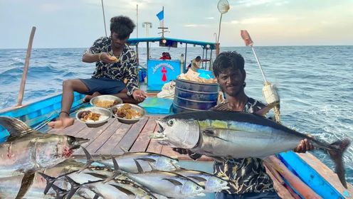 印度洋渔民下延绳钓，用1000多个钩钓金枪鱼群，带大家见识下_高清1080P在线观看平台_腾讯视频