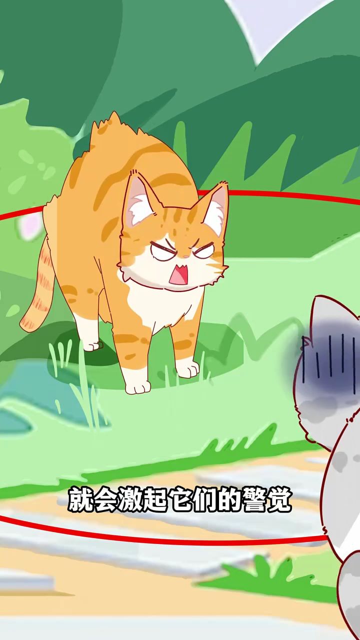 雇佣小流浪找猫?结果不可思议!_高清1080P在线观看平台_腾讯视频