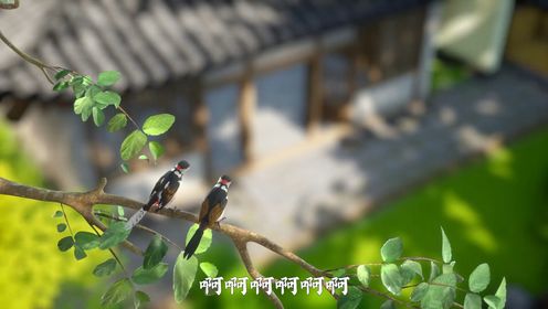 琥珀差点狗带的原因竟然是……一定要看到最后哦！#释放你的超萌力#熊猫mini@吉利汽车_动漫_高清完整版视频在线观看_腾讯视频