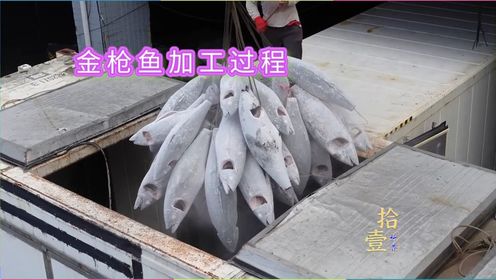 冻得梆硬的金枪鱼，是如何加工成餐桌上的生鱼片的？_高清1080P在线观看平台_腾讯视频