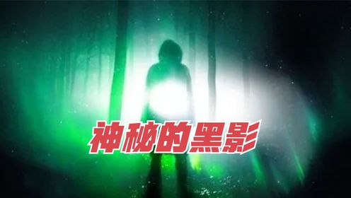 盘点三个热门诡异视频，神秘黑影竟能与人类共生，是人为剪辑吗？_高清1080P在线观看平台_腾讯视频