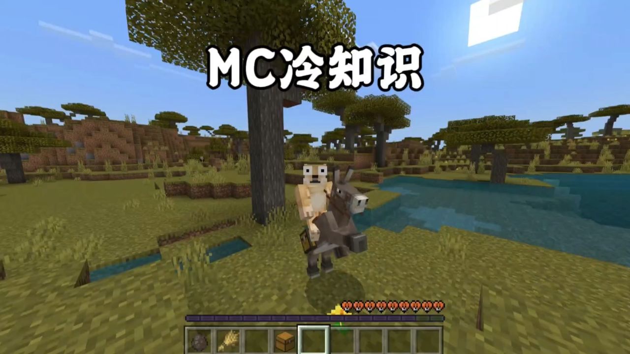 我的世界：MC冷知识_高清1080P在线观看平台_腾讯视频