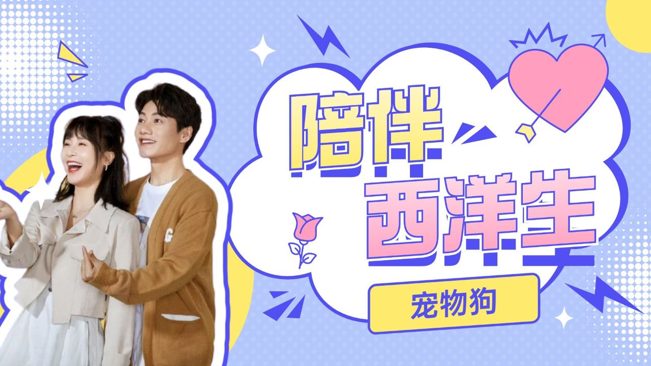 高颖刘洋：有一种陪伴叫做“西洋生”_高清1080P在线观看平台_腾讯视频