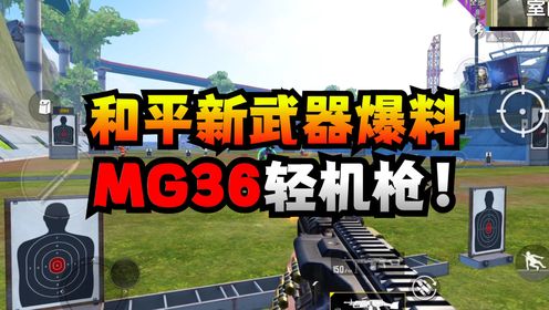 556家族再添一员，至强火力轻机枪mg36就要来了！_高清1080P在线观看平台_腾讯视频