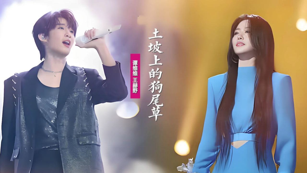 谭维维王赫野《土坡上的狗尾草》：一首唱给“汪星人”的歌_高清1080P在线观看平台_腾讯视频