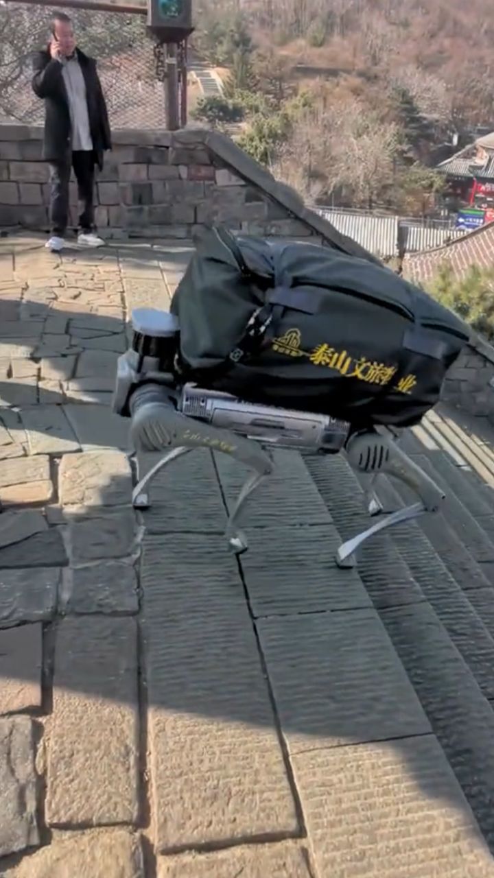 机器狗在泰山当“挑山工”，托运重物步伐稳健，静态负重120公斤_高清1080P在线观看平台_腾讯视频