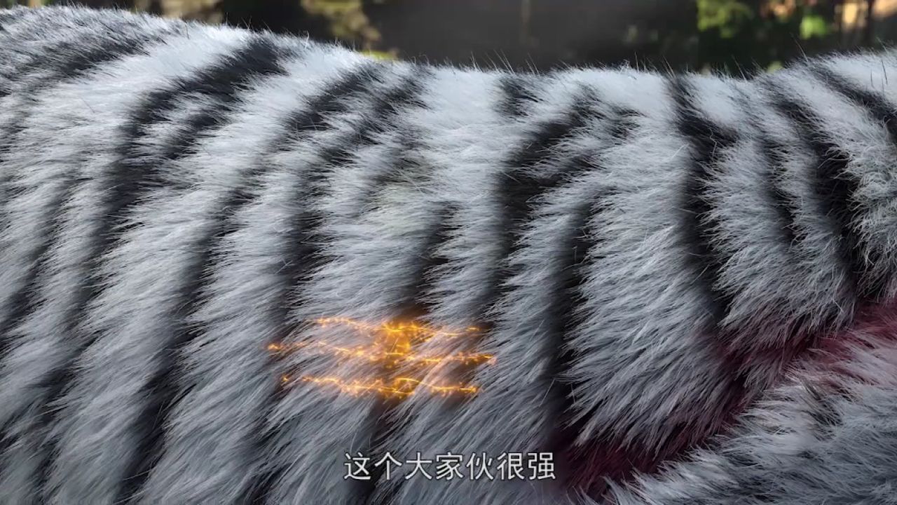 完美世界_精彩片段_高清1080P在线观看平台_腾讯视频